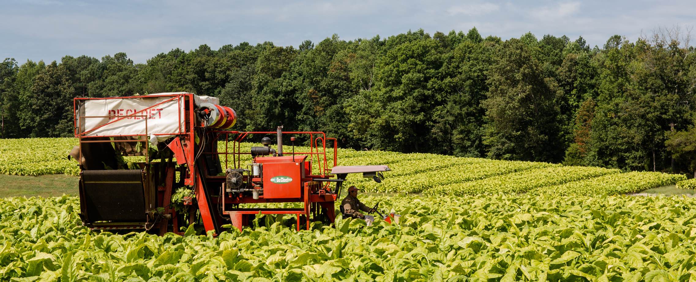 Farm Audits | U.S. Tobacco Cooperative